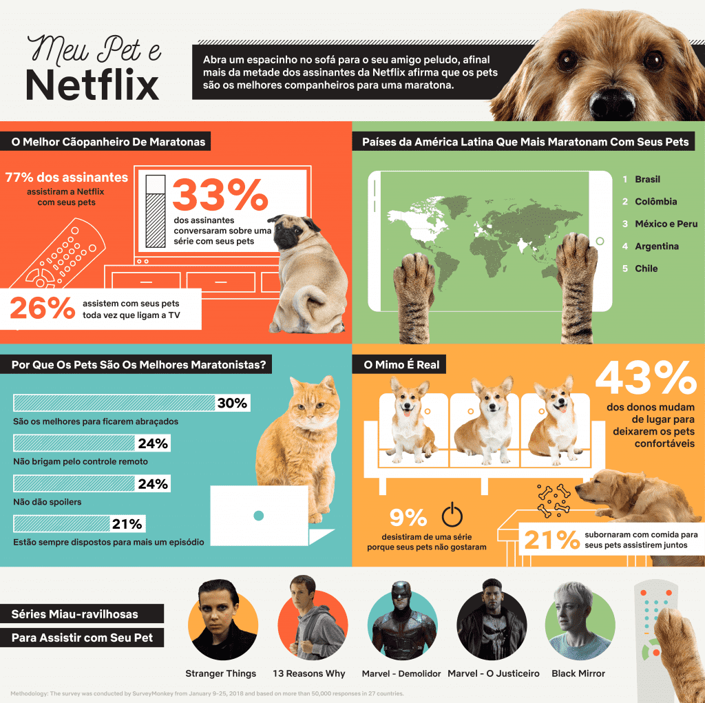 Meu pet e Netflix: Maratonar é para cães e gatos – Smiletic.com